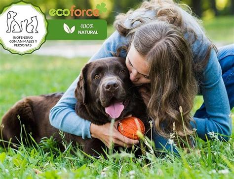 Descubre el abono ideal para tus plantas ácidas y potencia su crecimiento