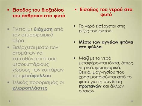 ΒΙΟΛΟΓΙΑ ΛΥΚΕΙΟΥ ΦΩΤΟΣΥΝΘΕΣΗ Β΄ΛΥΚΕΙΟΥ