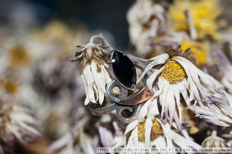 Индустар 50 Примеры Фото – Telegraph