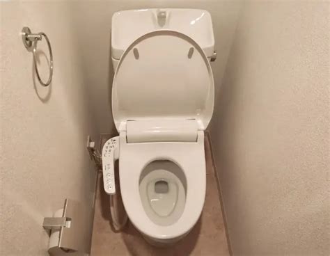 汚いトイレの夢を見た後は宝くじ購入したほうがいい？金運は上昇する？ スイーツ愛