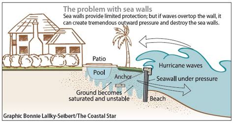 Dunes Vs Sea Walls Stopping Sand Loss Is A Complicated Business