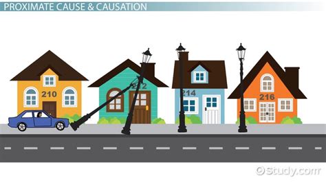 Proximate Cause Definition And Examples Lesson