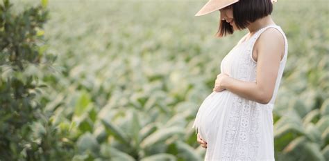 Pregnancy Stages Third Trimester