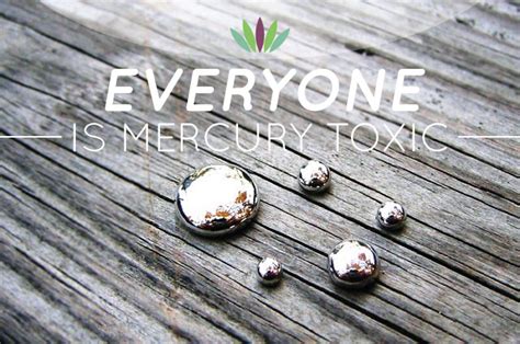 110everyonemercurytoxic