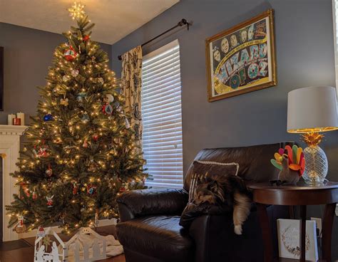 Our Cozy Holiday Corner Featuring Pupper Scrolller
