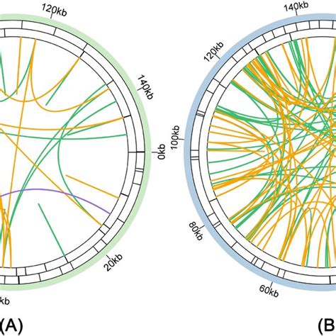 The Hypervariable Regions Between The Artemisia Genus The Horizontal
