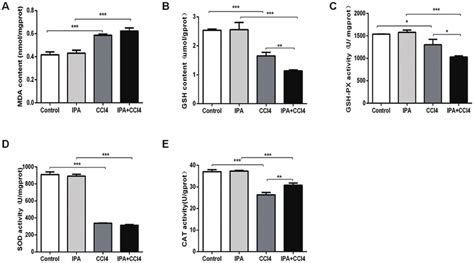 Effect Of Ipa Intervention On Ccl 4 Induced Hepatic Oxidative Stress