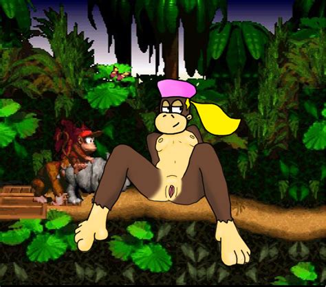 Post Diddy Kong Dixie Kong Donkey Kong Donkey Kong Series Donkey Kong Country