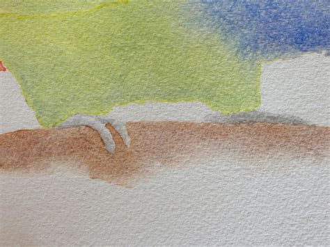 How To Paint A Parrot With Watercolors BirdDetails