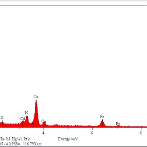 Energy Dispersive X Ray Spectroscopy Edx For Cd Felgyő Compost