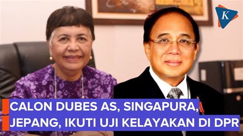 Video Adik Luhut Hingga Indroyono Soesilo Ikut Uji Kelayakan Calon