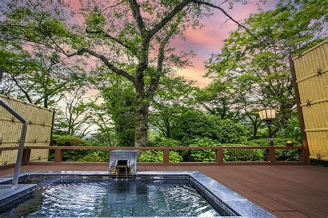 免人擠人！櫻花季「6間賞櫻旅宿」必住 打開門「粉紅櫻花海」盡收眼底 │ 旅遊頻道 │ 三立新聞網 Setn Com