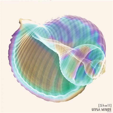 Ep Review Download Shell Ursa Minor Little Bear — Uk