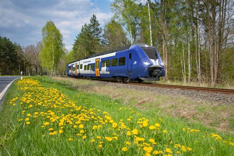 Siemens Mobility And Neb Present Final Designs For Mireo Plus Trains