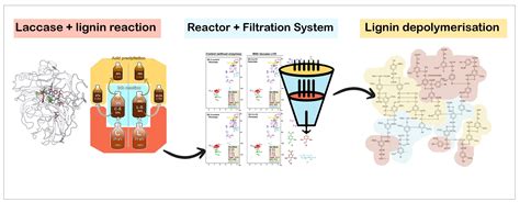 Polymers Free Full Text Depolymerisation Of Kraft Lignin By Tailor