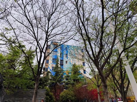小米11 Pro评测：2k／120hz全开完美屏 Ofweek显示网