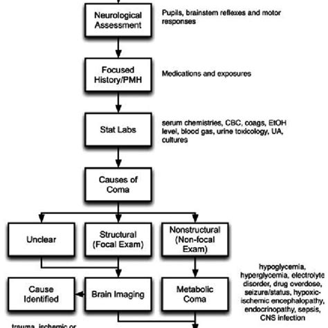 Pdf Emergency Neurological Life Support Approach To The Patient With