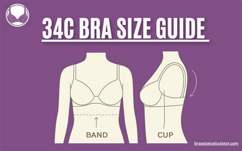 34c Bra Size Guide Meaning Measurements Fit And Sister Sizes