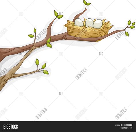 Bird Nest In Tree Clip Art