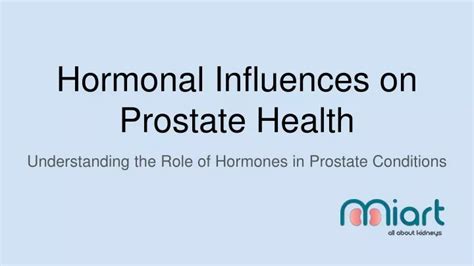 Ppt Hormonal Influences On Prostate Health Understanding The Role Of