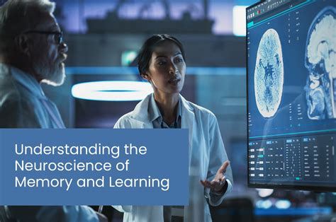 Understanding The Neuroscience Of Memory And Learning Neurosync Brain Centre