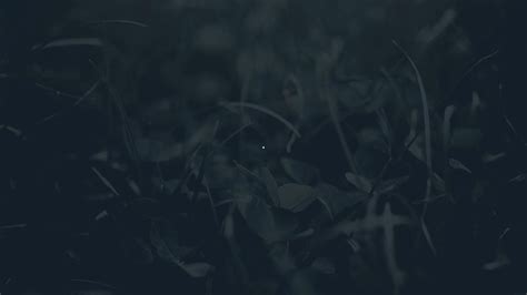 Textbox Title Animations Download Rapid 21106049 Videohive After Effects