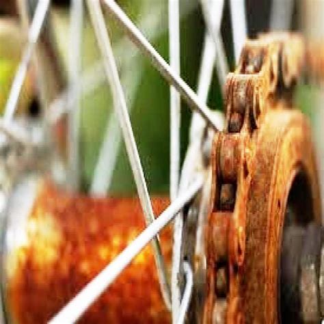 Corrosion Detection Instance Segmentation Dataset And Pre Trained Model