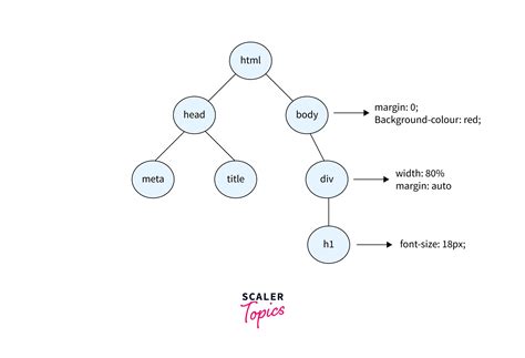 Which Software Is Used To Read And Render A Program In Html Scaler
