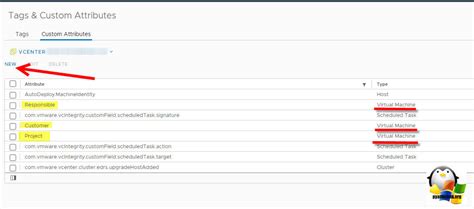 Использование Custom Attributes в Vcenter Настройка серверов Windows