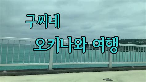 ️아기와해외여행8개월아기와해외여행오키나와여행 Youtube