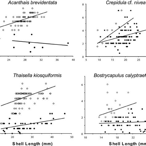 Relationship Between Shell Length And Penis Length For Males White Download Scientific Diagram