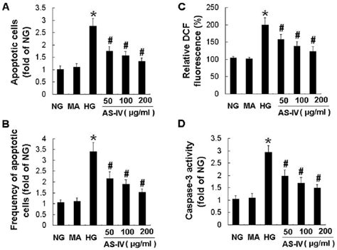 As Iv Dose Dependently Inhibited Hg Induced Podocyte Apoptosis Ros