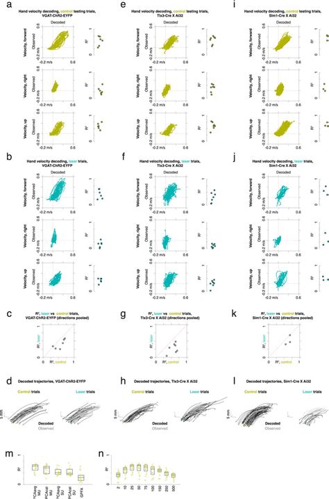 Decoding Of Hand Velocity From Motor Cortical Activity On Control And
