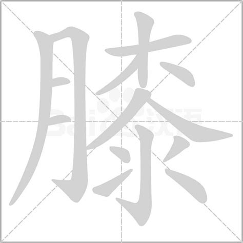 膝拼音 膝笔画怎么写笔顺 膝部首 苗苗知道