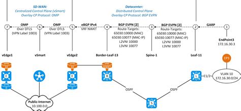 The Network Times Lisp Omp Bgp Evpn Interoperability Part V Bgp