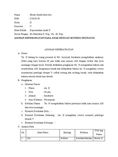 Askep Ikterus Neonatus Pdf