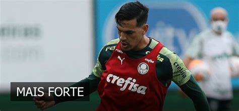 Palmeiras Terá Até 7 Retornos Para Jogo Contra O Libertad Pela