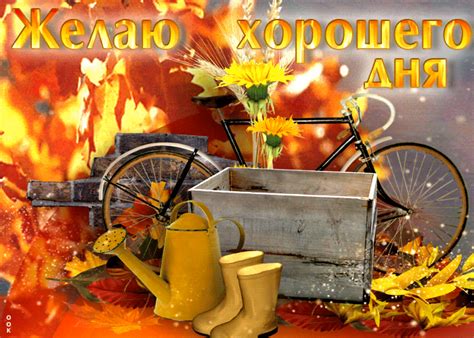 Супер открытка с велосипедом Желаю хорошего дня Скачать бесплатно на