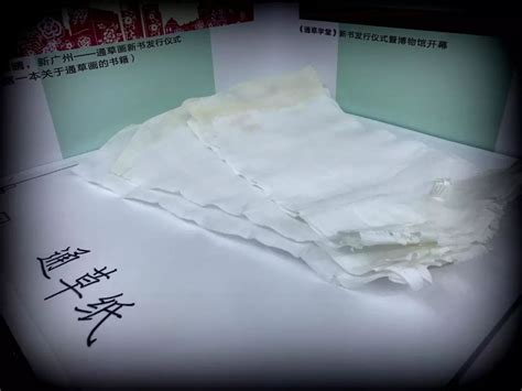 穿过通草画，睇广府市井风情