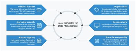 Akram Zalloum On Linkedin Basic Principles For Data Management Data
