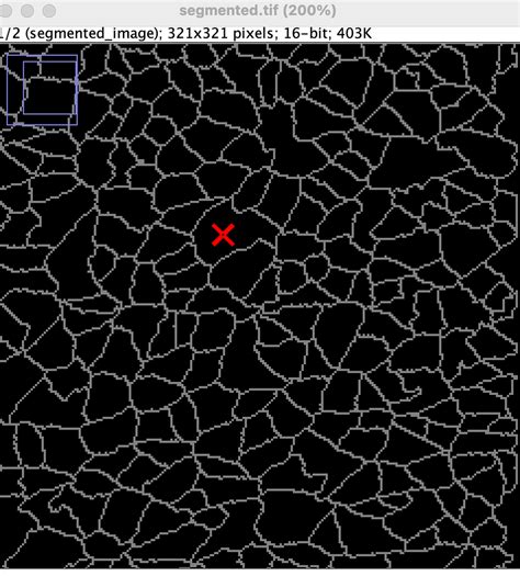 image saved with red cursor when windows are synchronized usage
