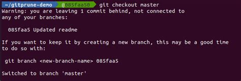 How To Use Git Prune NoloWiz