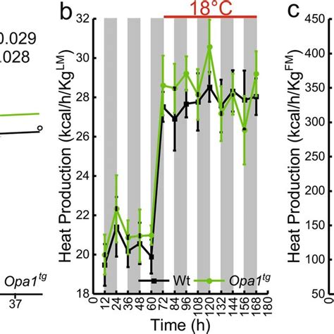 Luca Scorrano Research Director Md Phd Venetian Institute Of
