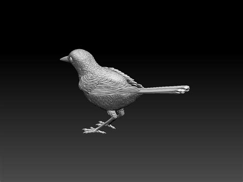 stl file wagtail・3d printable model to download・cults