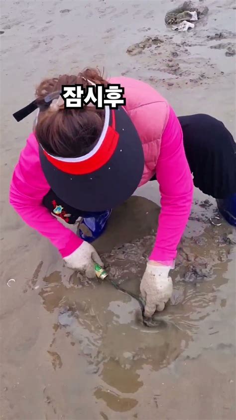 잠시후 바지락 사서 먹자 힘들어 Youtube
