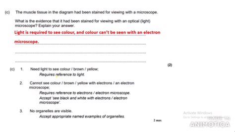 Skeletal Muscle Flashcards Quizlet