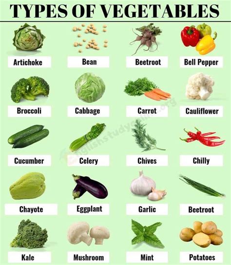 Easy And Fun English With Nt Vegetables Хүнсний ногоо Are You Fond Of Consuming Vegetables Та