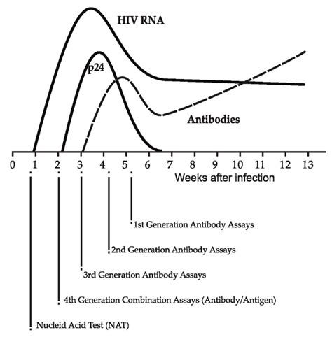 Viral And Serological Markers During Recent Hiv Infection And Evolution