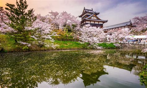 Qué ver en Nara 10 Lugares Imprescindibles Con imágenes