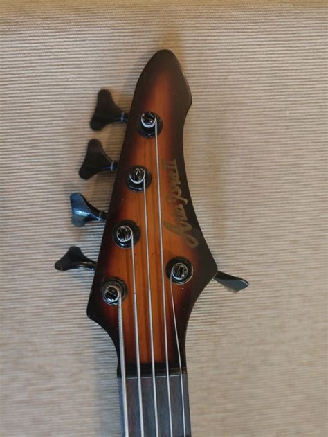 Aria Pro Ii Avante Series 5 String Bass At James Daulton Blog